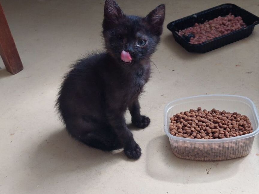 Черный мальчик с одним глазом