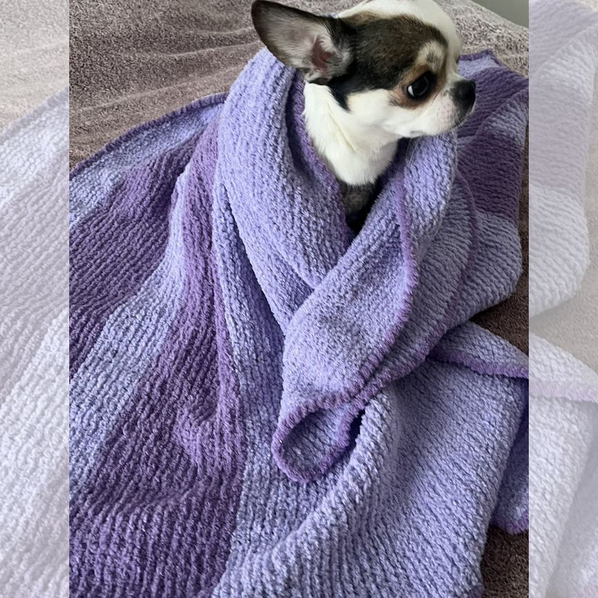 Плед для собак