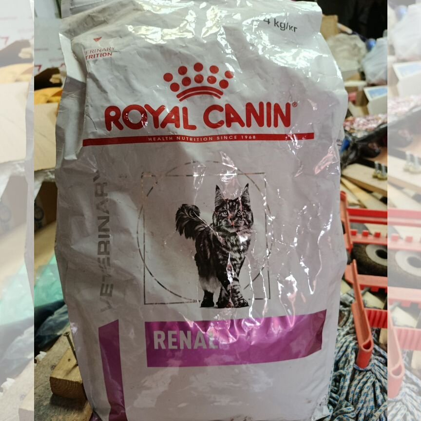 Корм для кошек royal canin renal