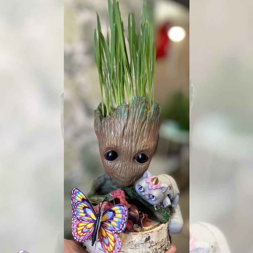 Трава для кошек