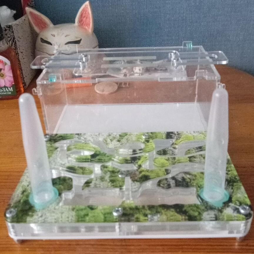 Муравьиная ферма без муравьев