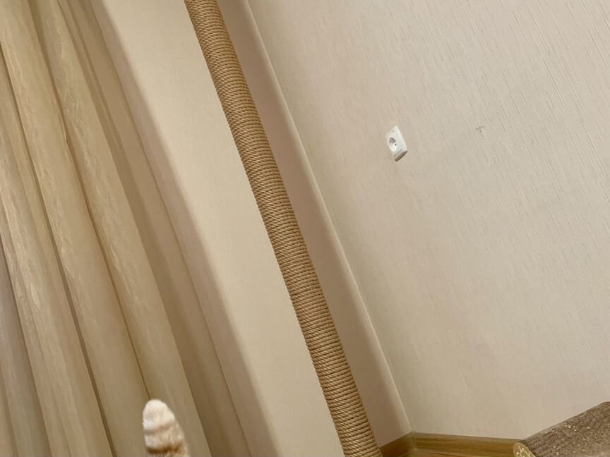 Лазалка для кошек