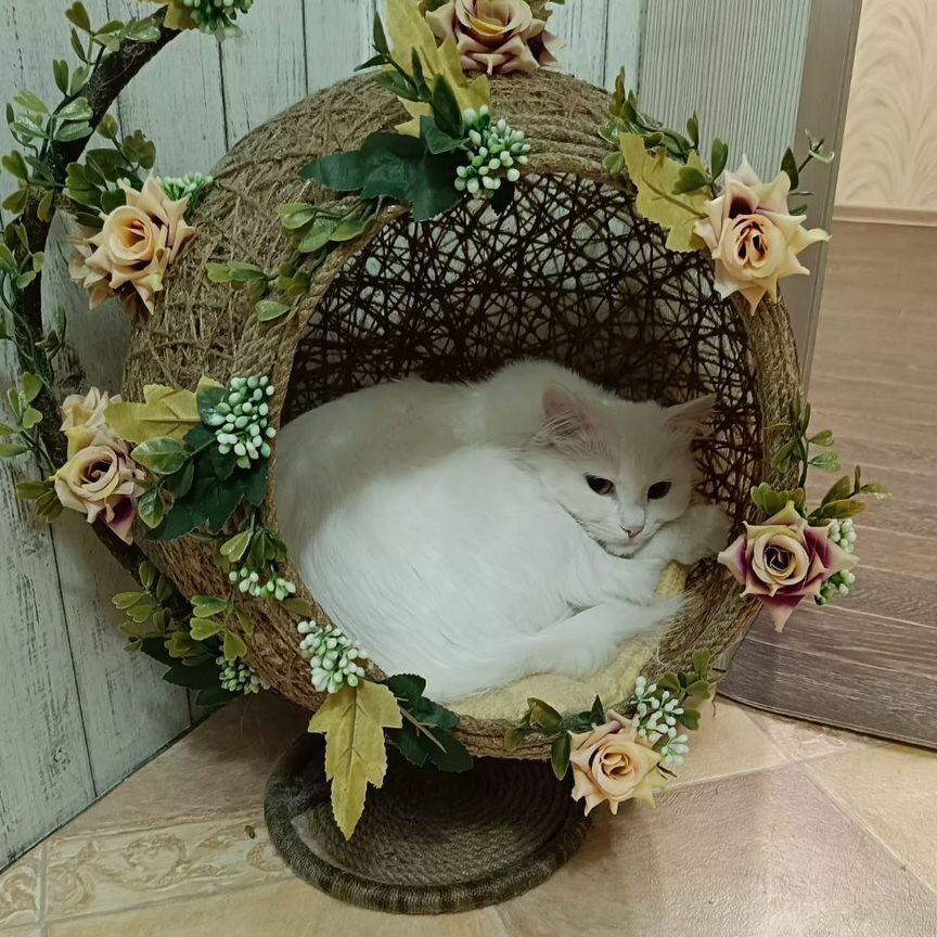 Лежанка для кошек