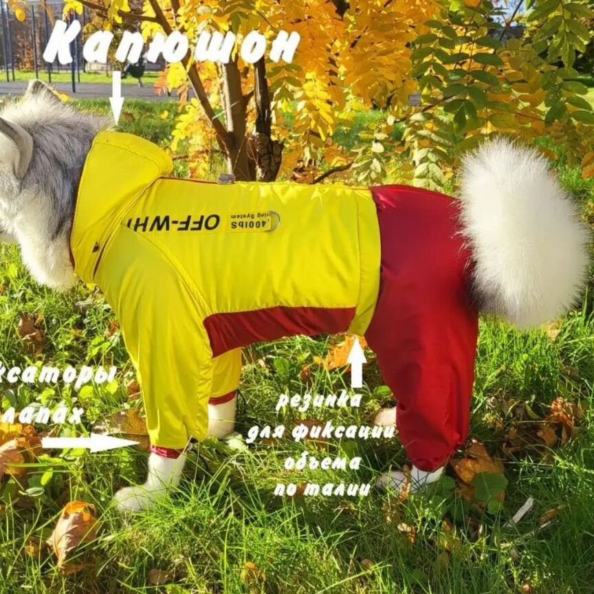 Комбинезон для средней собаки девочки