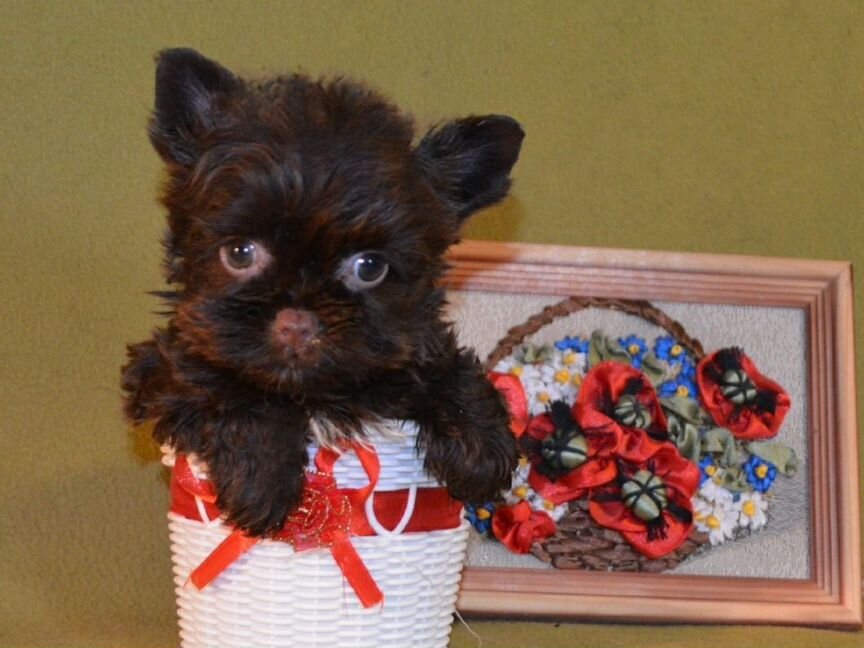 Ценителям эксклюзива