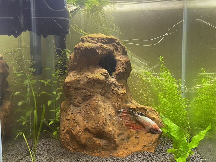 Аквариум Aquael 30