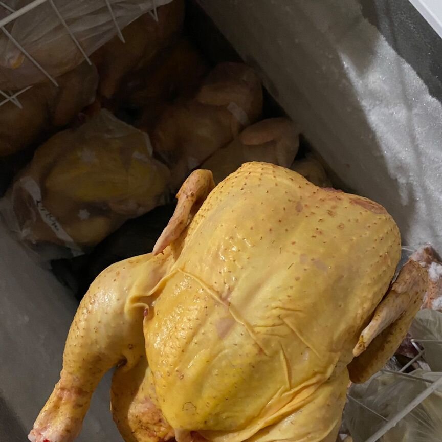 Куры бройлеры мясо