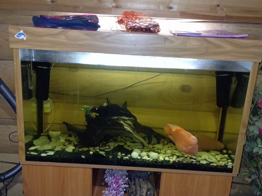 Аквариум с тумбой