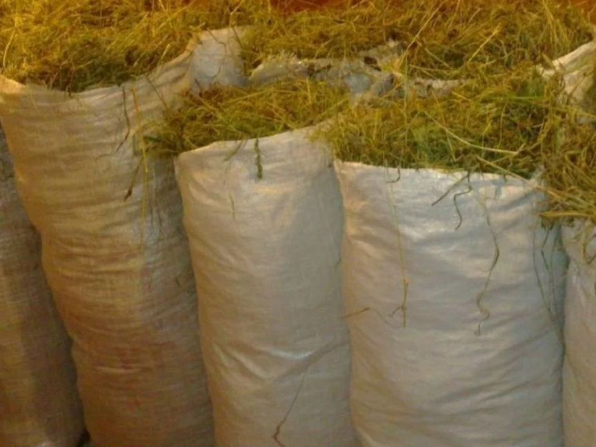 Сено в мешках 2023г