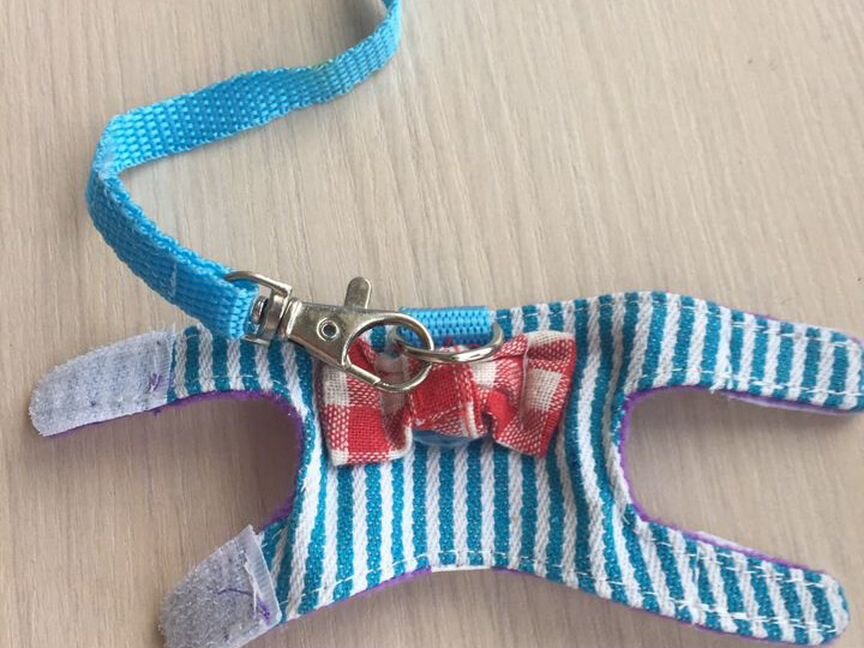 Новый Прогулочный поводок для хомяков и крыс