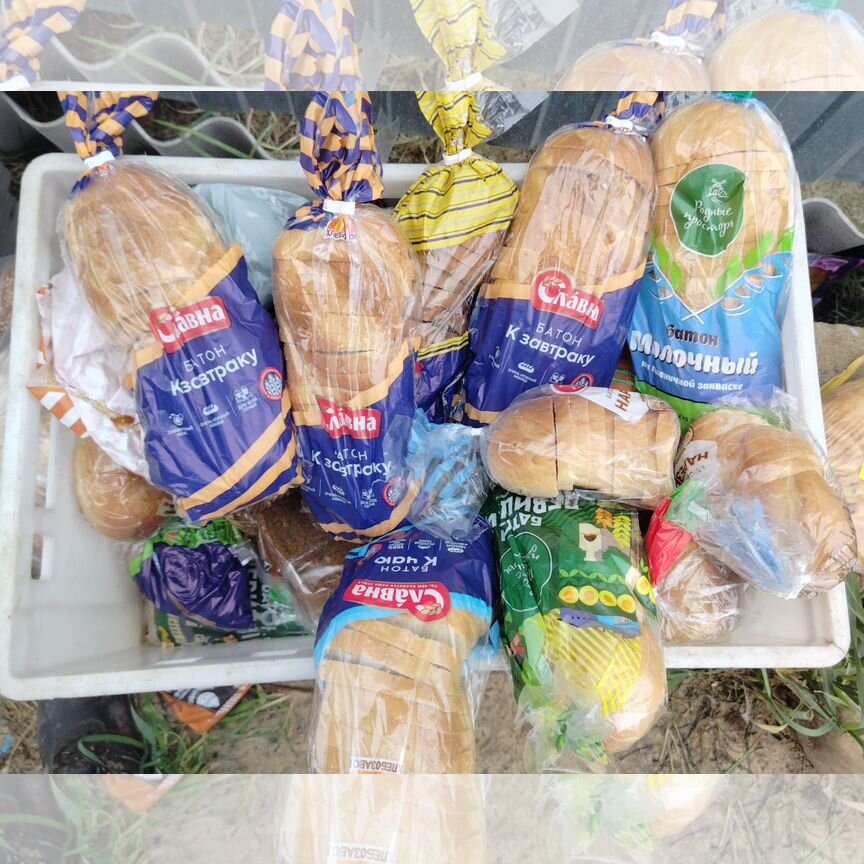 Хлеб на корм животным