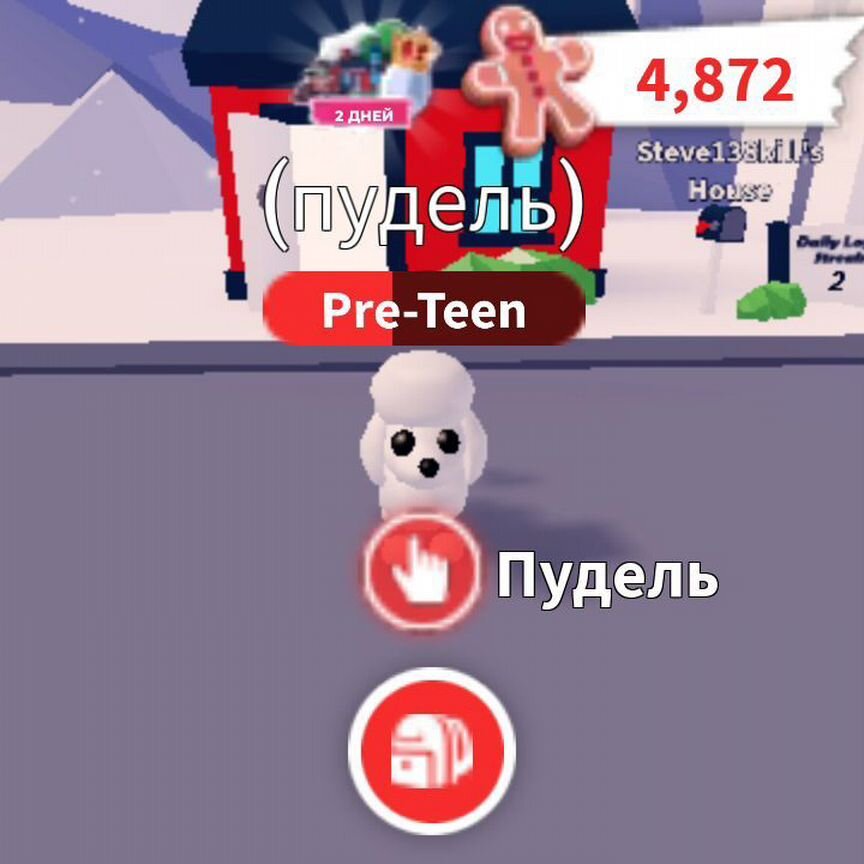 Пудель