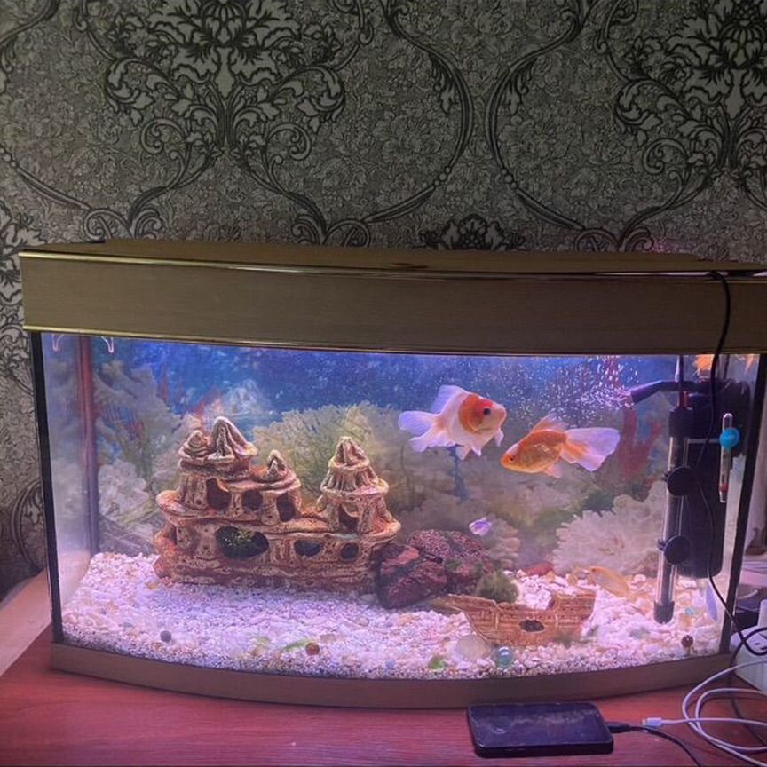 Аквариум пустой,100 литров