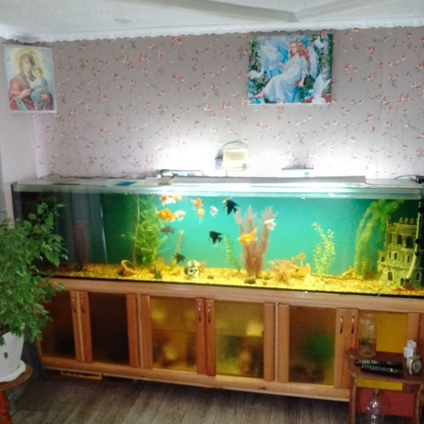 Аквариум с тумбой 600 л совсеми Причендалами