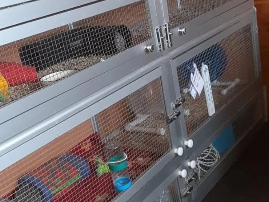 Стеллаж вольер для мелких животных