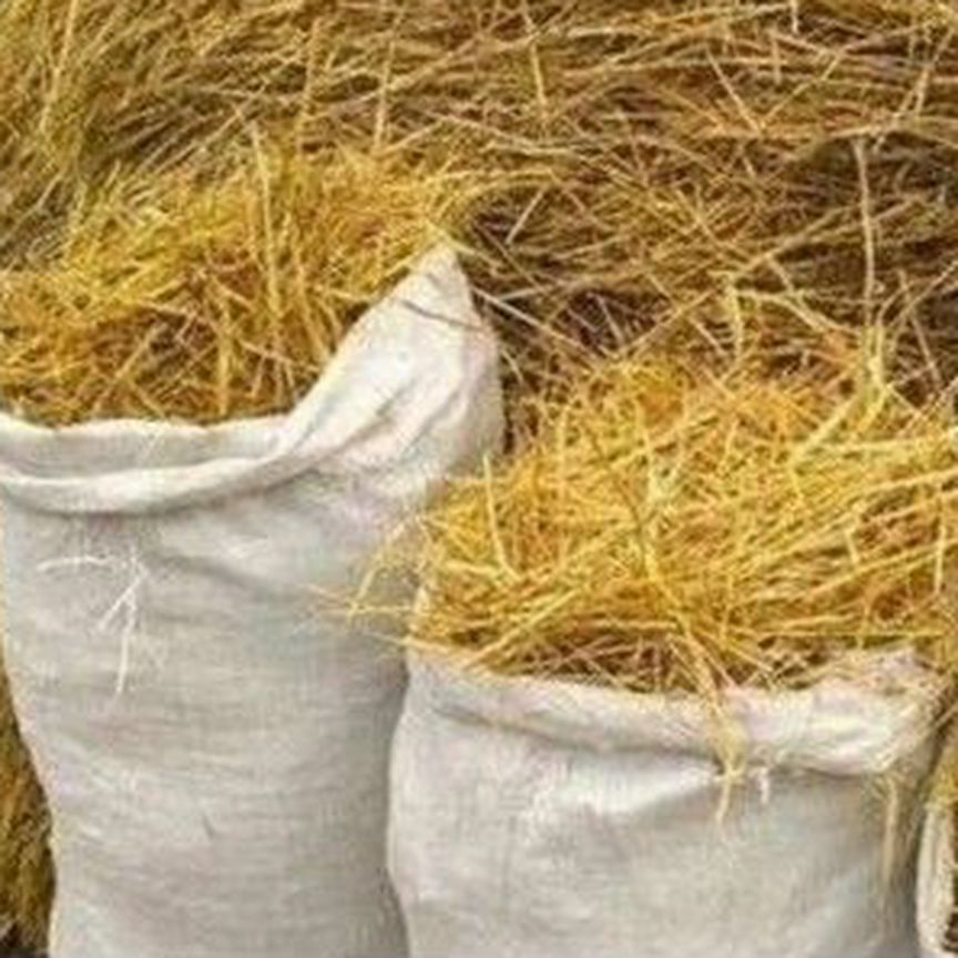 Солома в мешках