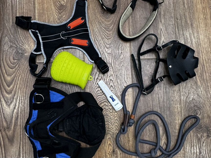 Шлейка для собаки поводок удавка