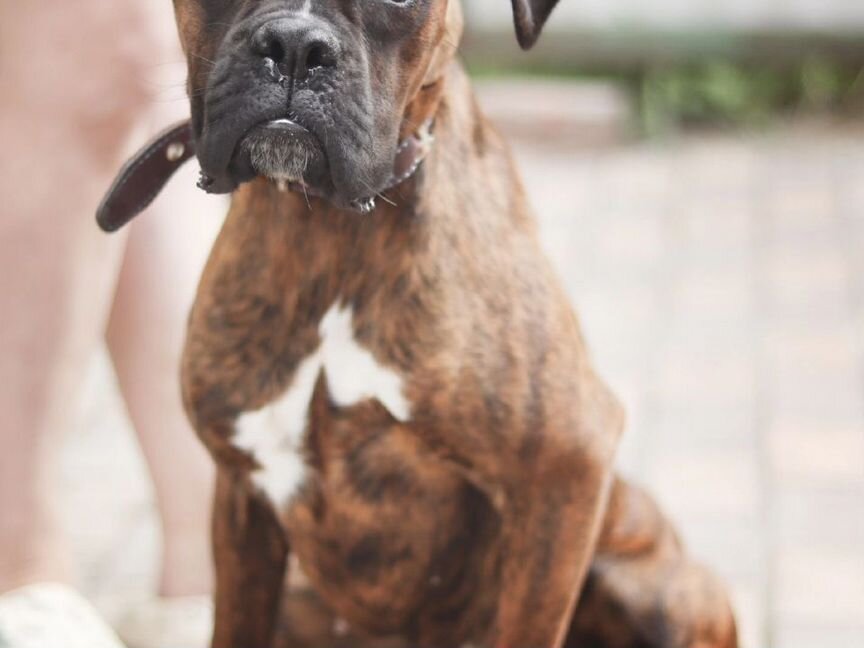 Тори ищет семью