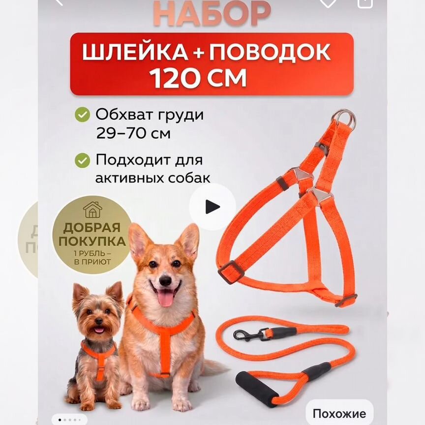 Шлейка   поводок