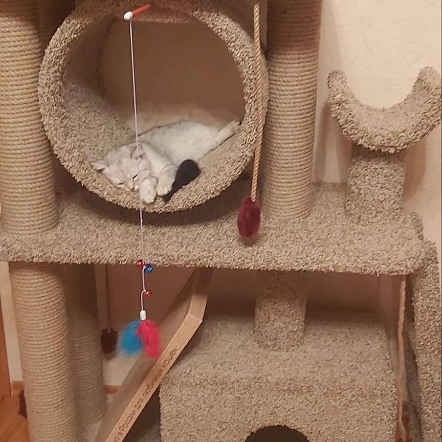 Домик для кошки и собаки