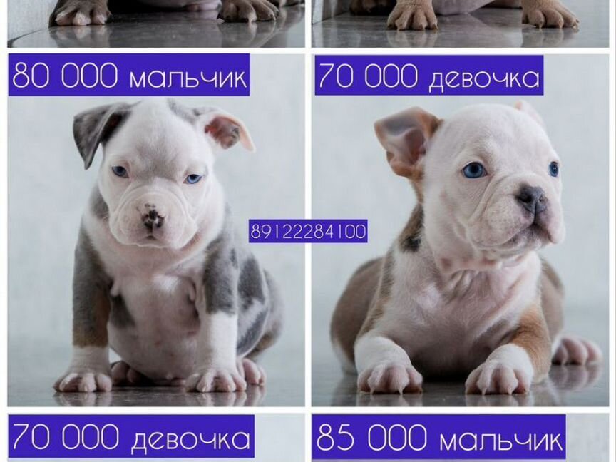 Сладкие булочки Амбулички
