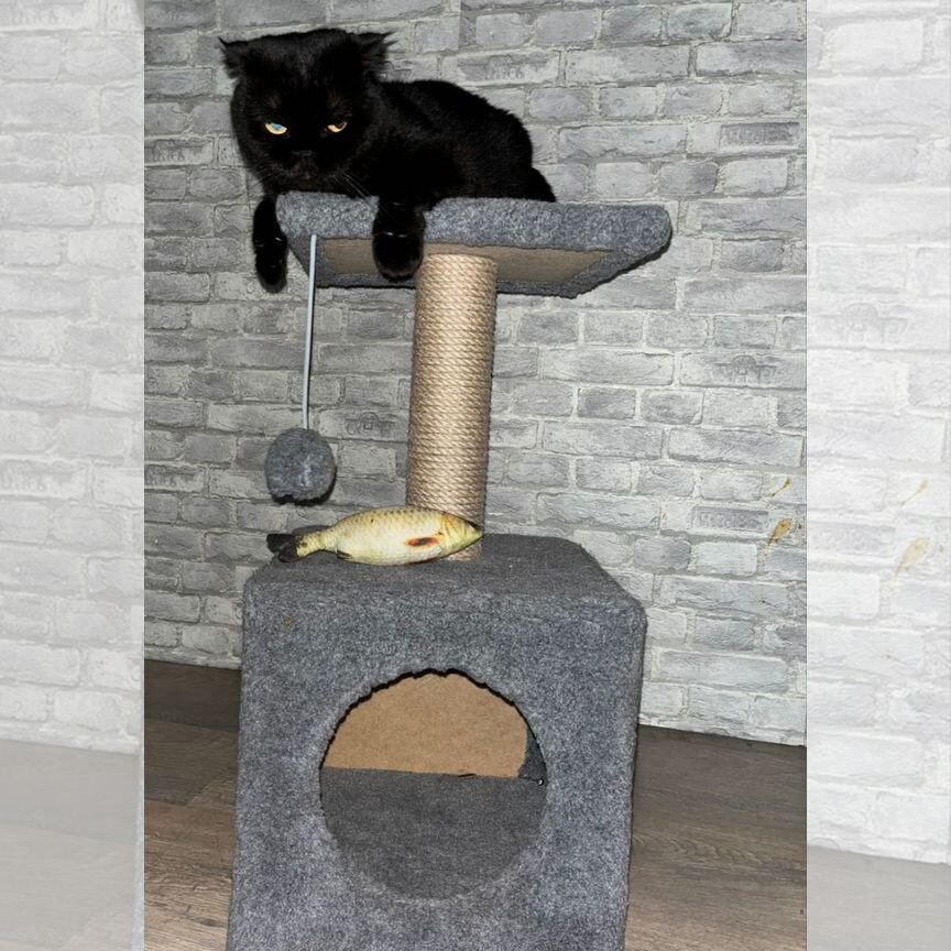 Домик лежанка для кошки