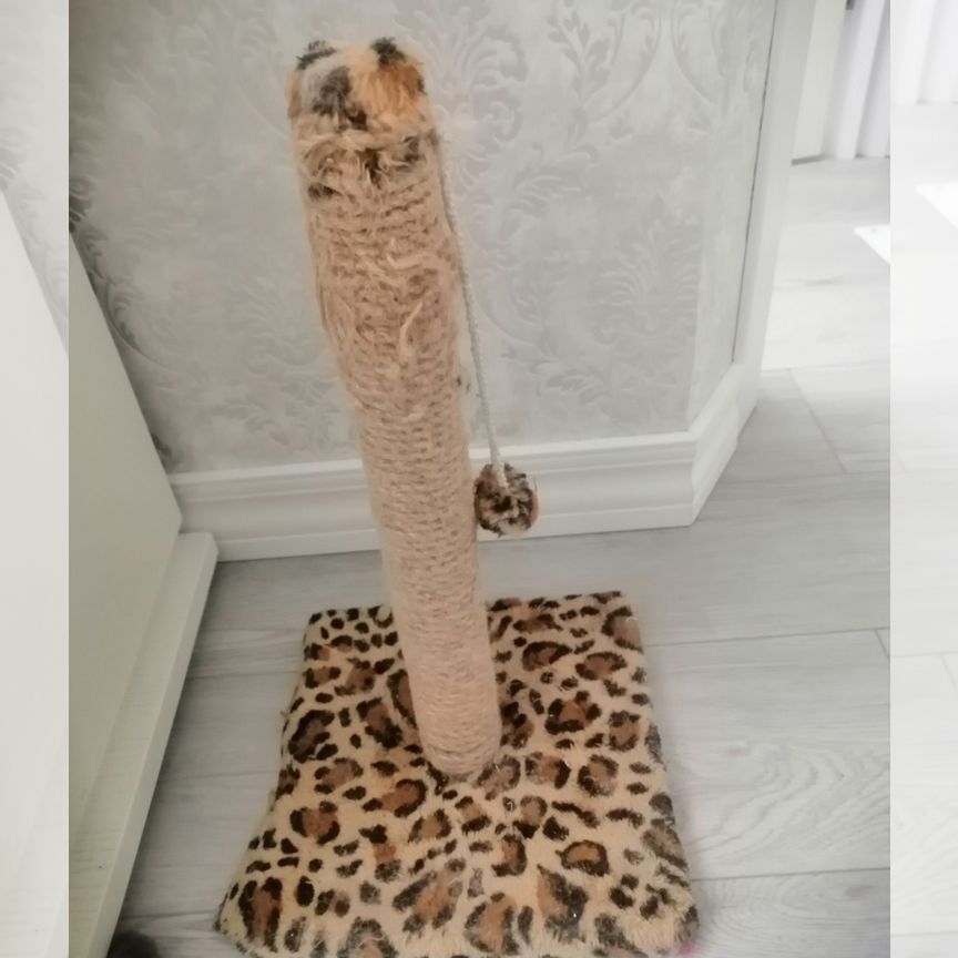Когтеточка для кошек бу