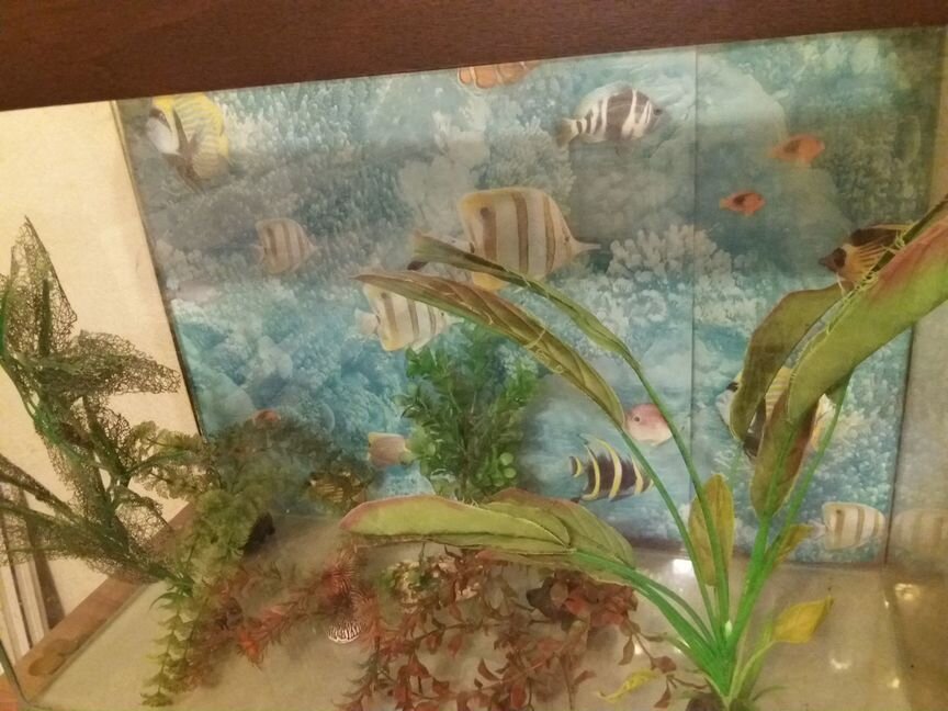 Аквариум 105л