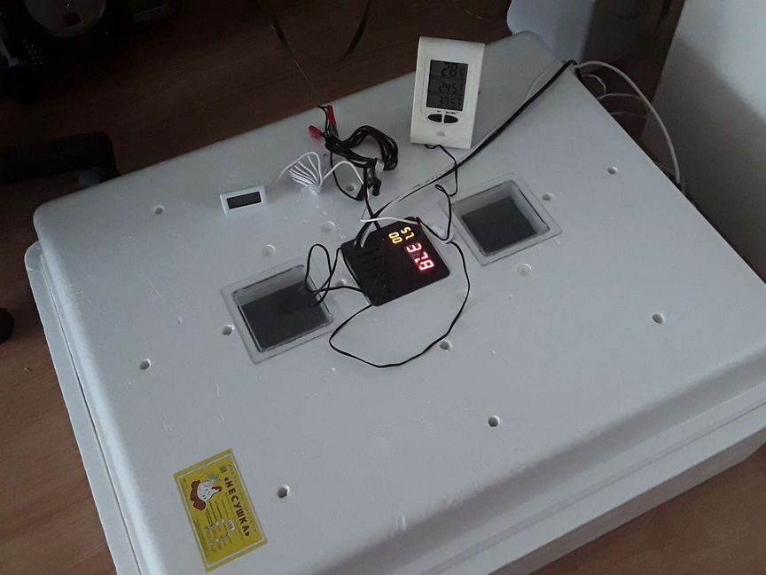 Инкубатор для яиц автоматический