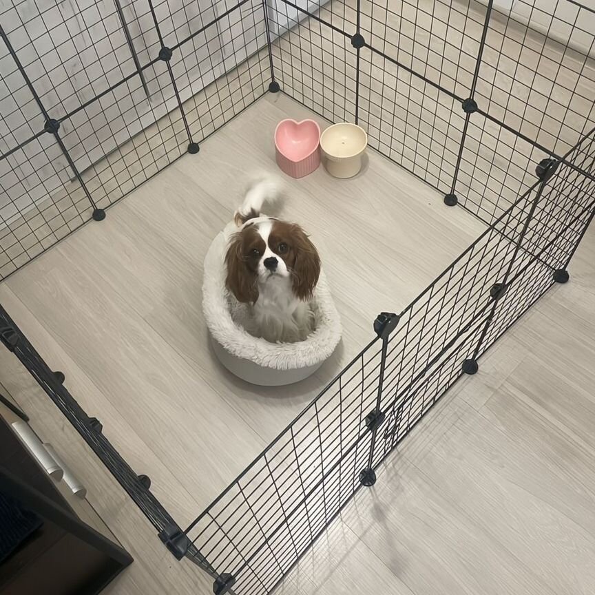 Клетка для животных большая