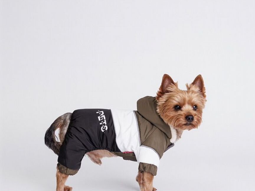 Новый комбинезон для собаки petmax m