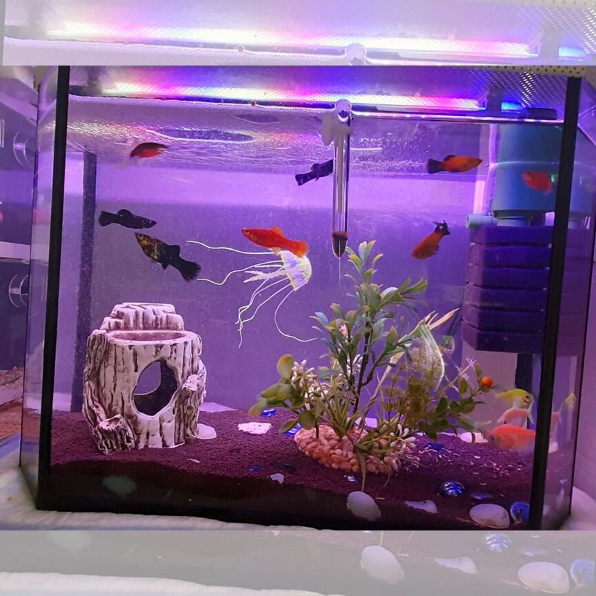 Аквариум 35 литров