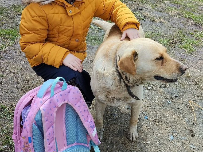 Возьму в дар