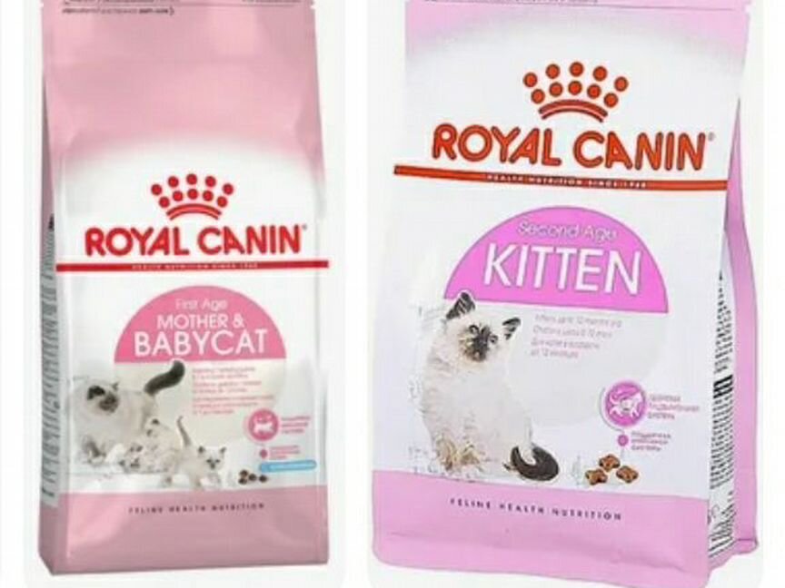 Корм для котят роял канин со скидкой в 30 проц