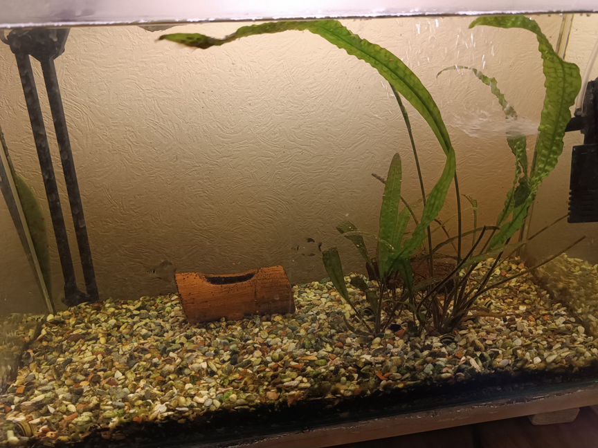 Аквариум с рыбками бу