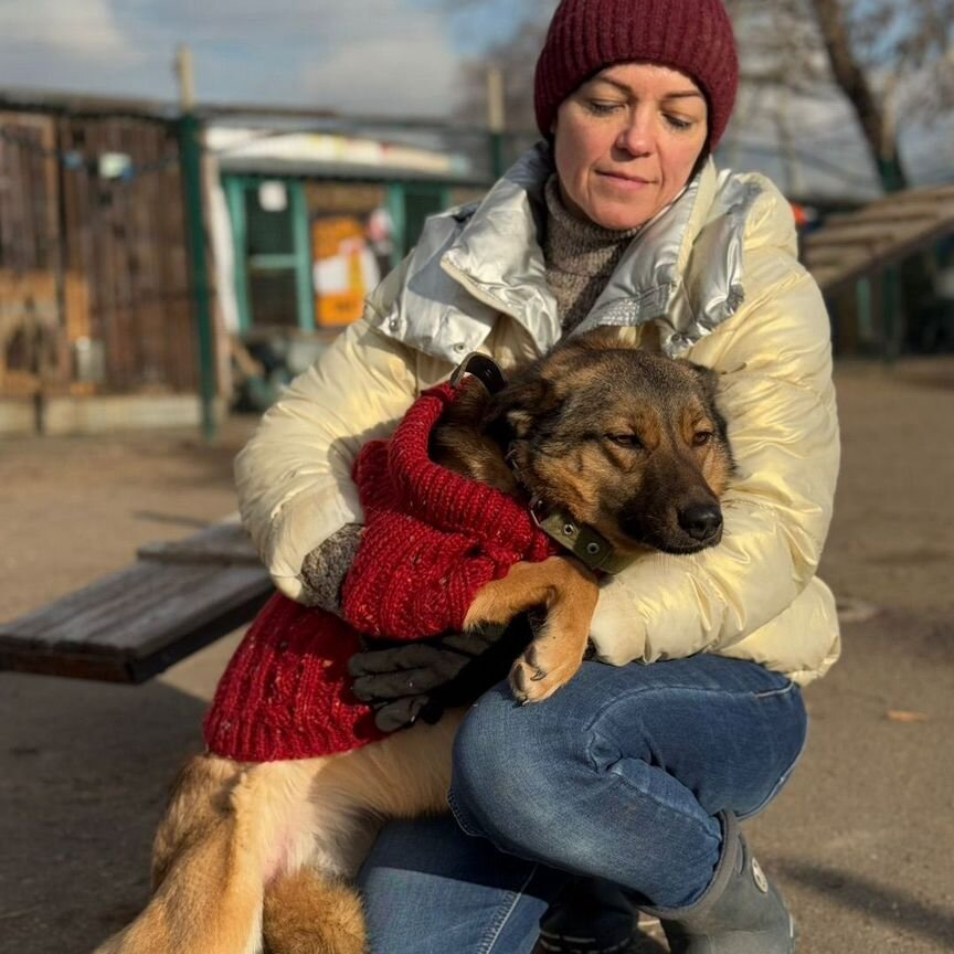 Спасите крошку из приюта