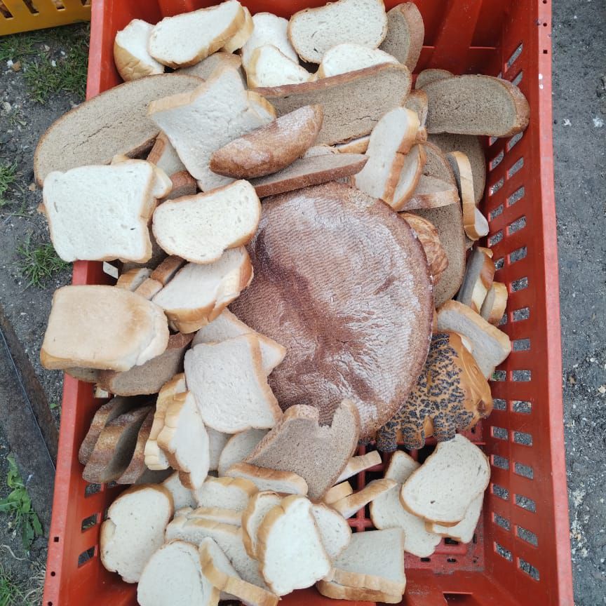 Продукты питания для скота