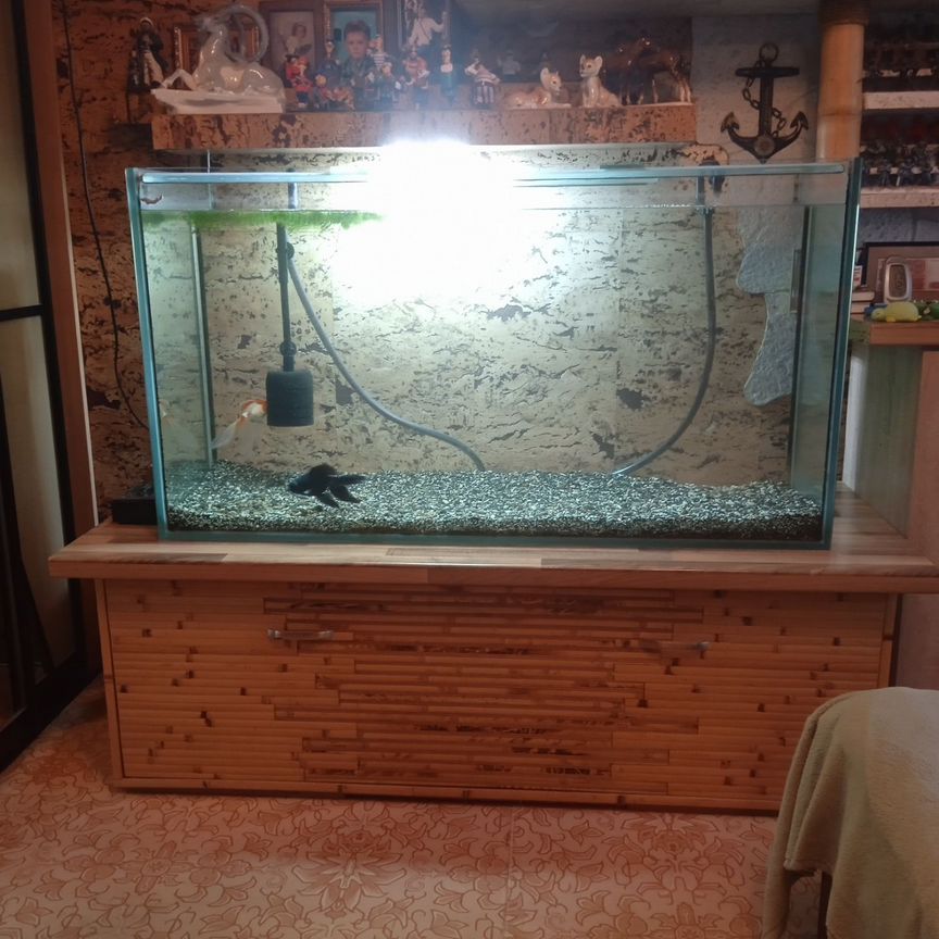 Аквариум