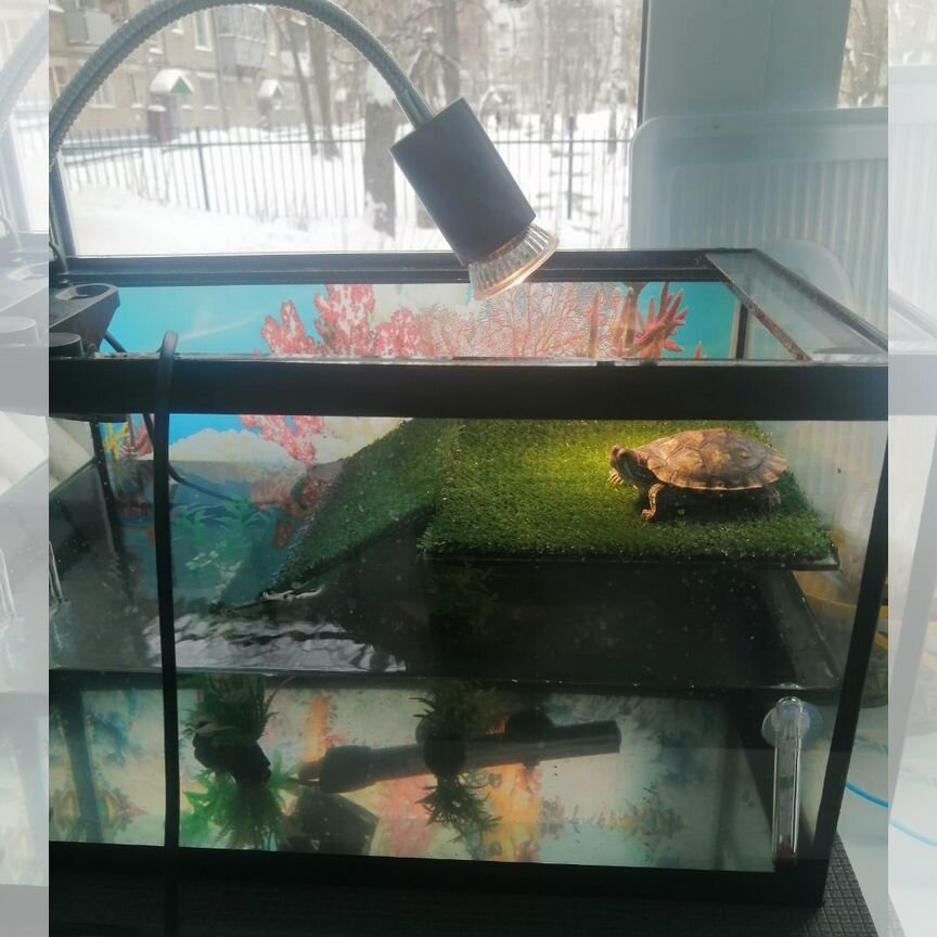 Аквариум 40л