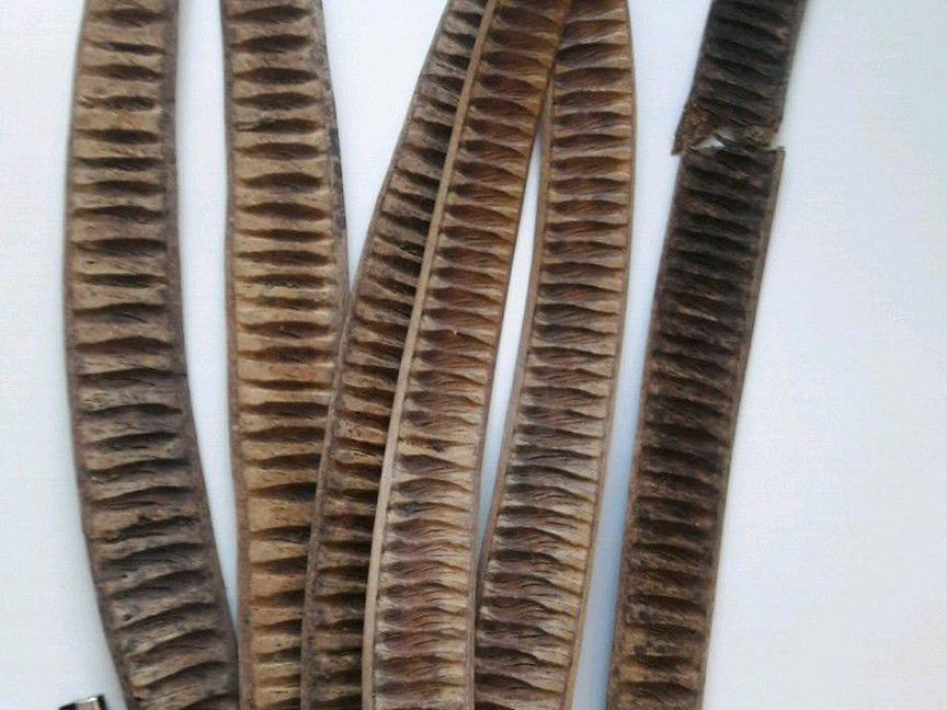 Натуральный декор для террариума и др