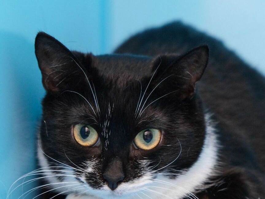 Посмотрите на меня, пожалуйста