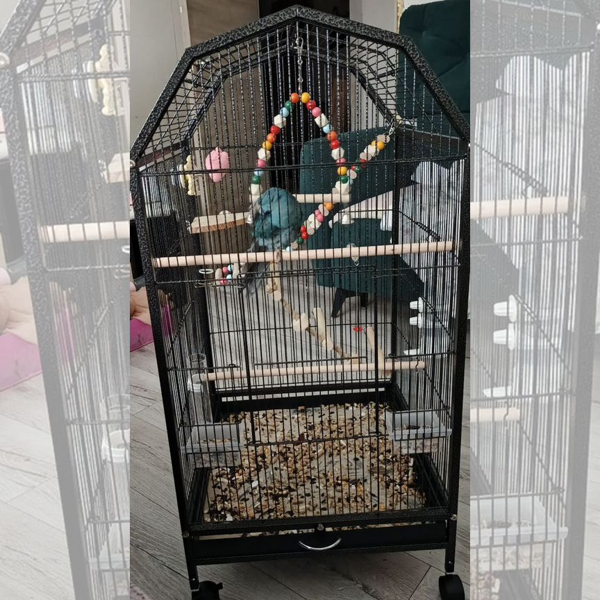 Какарик с клеткой