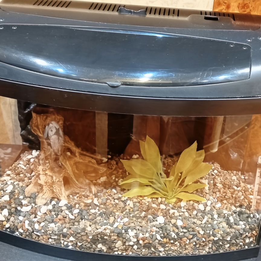 Аквариум 30 литров бу