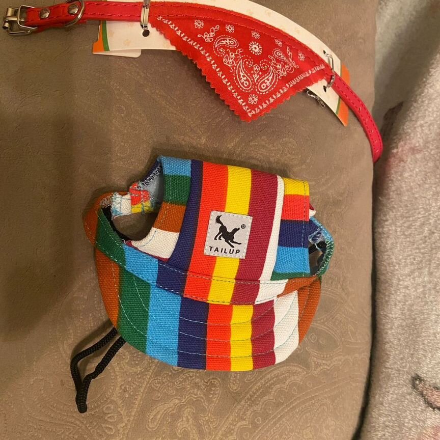 Панама для собак