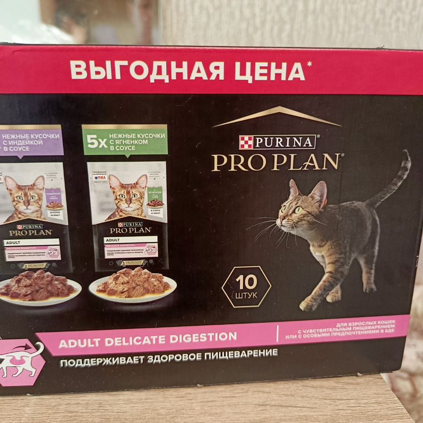 Корм для кошек