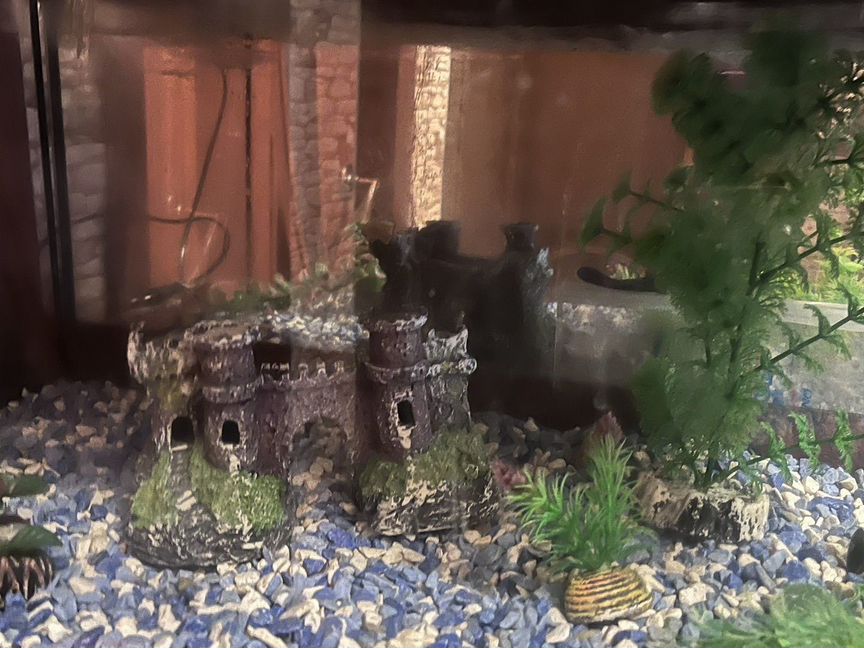 Аквариум бу