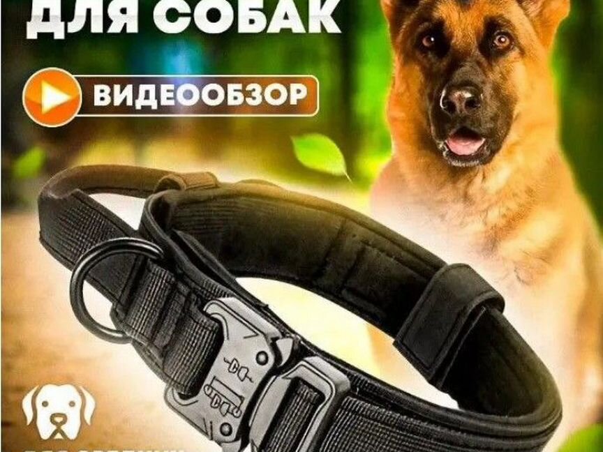 Ошейник для собак тактический усиленный