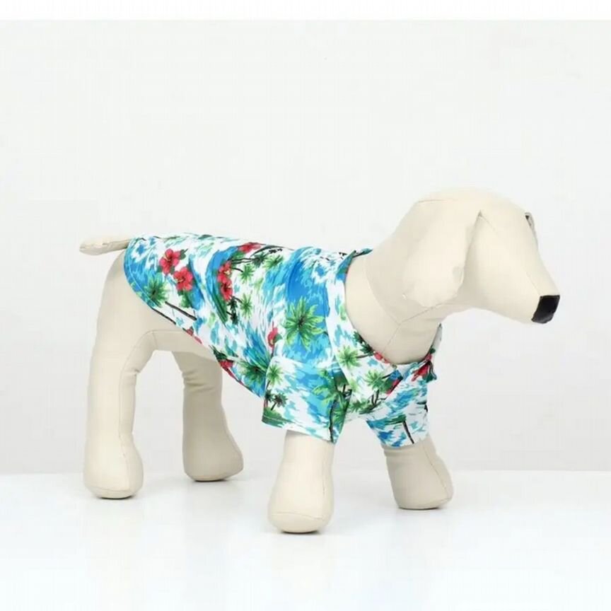 Рубашка летняя на кота собаку