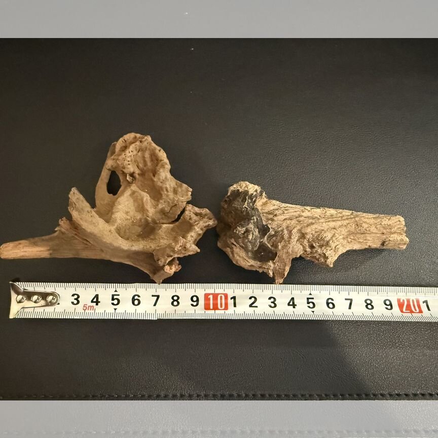 Коряги для аквариума