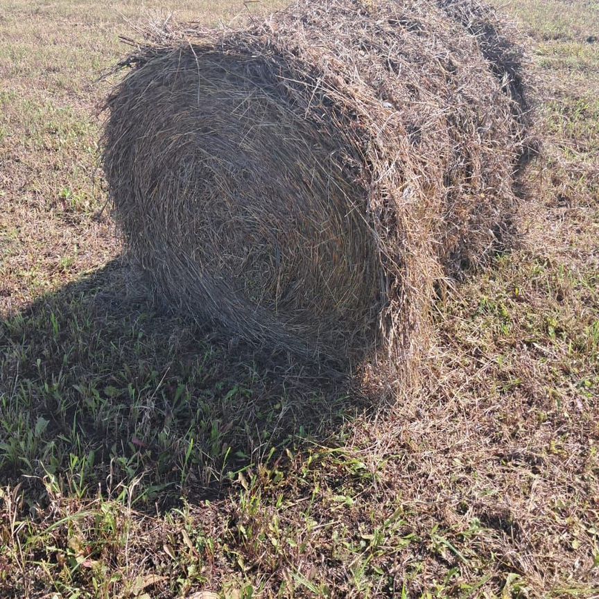 Сено костер в рулонах прф 110